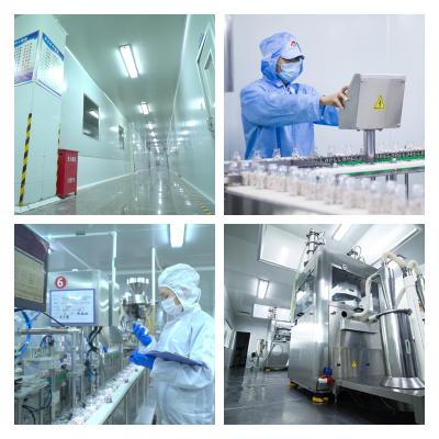 Cina Basso contenuto proteico Vitamine Salute Gomme d'arancia Supplemento vitaminico essenziale per la salute in vendita
