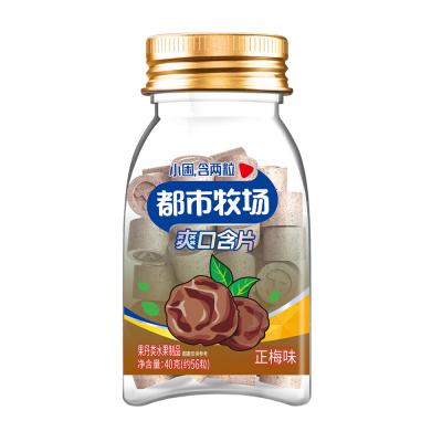 China Doces de ameixa DIY OEM personalizados sem açúcar doces de hortelã com prazo de validade de 2 anos e baixo teor calórico de carboidratos à venda