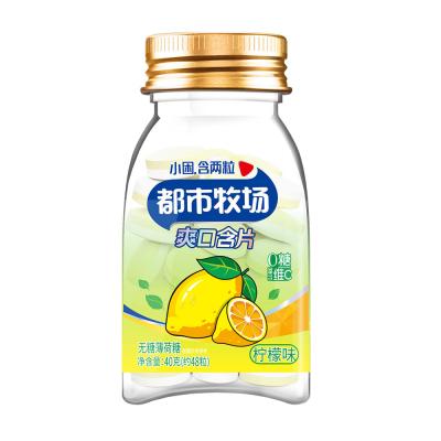 China Mints Room Temperature Storage Sugar Free Mints with Low Calories Carbohydrate No Artificial Preservatives for sale