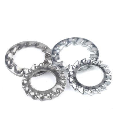 Cina 304 Acciaio inossidabile Serrated Lock Washer Esterno DIN Standard in vendita