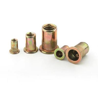 Cina M8 M10 Nocciolo a riveto cieco per fissaggio M2-M12 Q235A2-70 A4-80 Fabbricazione in vendita