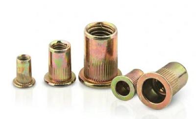 Cina M8 M10 Nocciolo a riveto cieco per fissaggio M2-M12 Q235A2-70 A4-80 Fabbricazione in vendita
