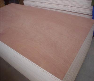 China Hot sale Good Price Okoume/Bintangor/Poplar Commercial Plywood for sale
