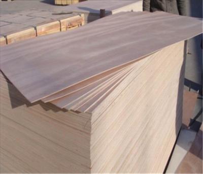 China PACKING PLYWOOD & Commercial Plywood Lowest Price to Singapore for sale