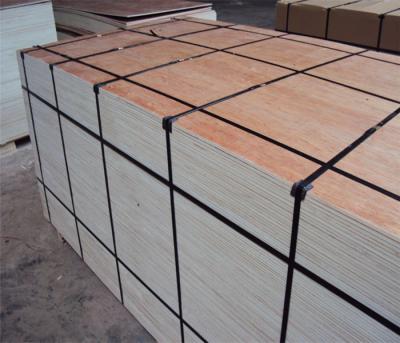 China 1220x2440 Bintangor Plywood Poplar Core for Packing for sale