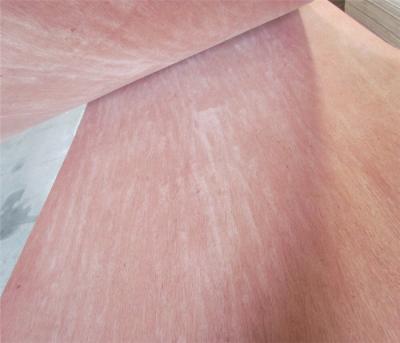 China 1220x2440x18mm Bintangor Plywood with Poplar Core E1 Glue for sale