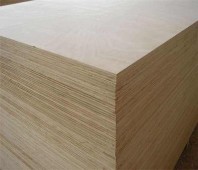 China Good Quality & Low Price Commercial Plywood Okoume Plywood for sale