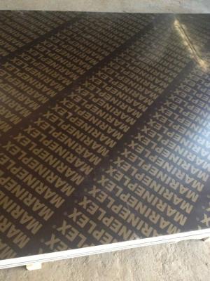 China China Film Faced Plywood, Brown Film Faced Plywood, 1220x2440x18mm(PLYWOOD MANUFACTURER) for sale