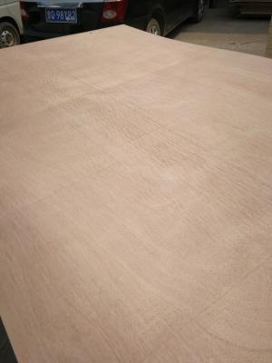 China Factory direct selling E1 glue bintangor face poplar core commercial plywood. for sale