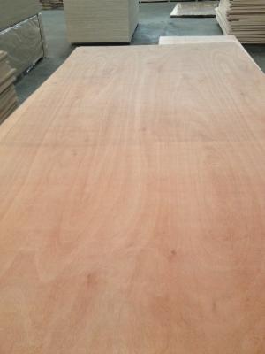 China China High Quality 4X8 Plywood bintangor Plywood From Factory in Jiangsu for sale