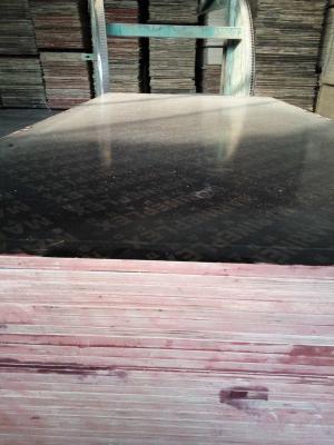 China Hot sale 18mm Vietnam Plywood / Vietnam Film Faced Plywood for sale