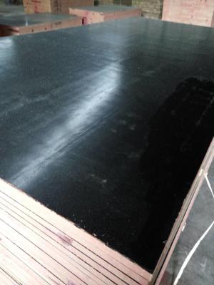 China Construction Playwood 18mm/ Concrete Template Plywood/ Formwork Plywood Film Face for Sale for sale