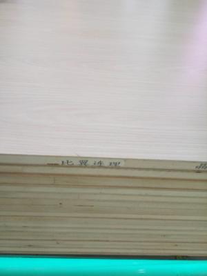 China Best Quality with good Price Plywood for Furniture for sale