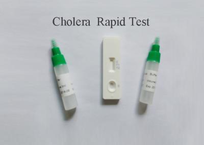 Cina Il corredo domestico dell'analisi del sangue di alta precisione individua l'antigene colera AG 5 minuti leggere il tempo in vendita
