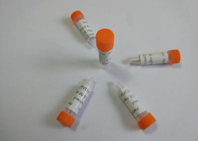 China Anti médico - sensibilidad del anticuerpo monoclonal del hibridoma del ratón de la marijuana alta en venta