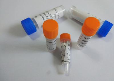 China Gezuiverd anti-Phencyclidine Muis Monoclonal Antilichaam 1995mg/maand Te koop