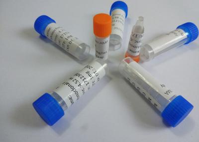 China Medische anti - de Alpha- van het de Muis Monoclonal Antilichaam van HCG Mab Hoge Gevoeligheid Te koop