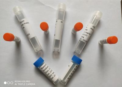 Cina Anti anticorpo monoclonale recombinante di Mab degli anticorpi monoclonali del topo di COVID 19 in vendita