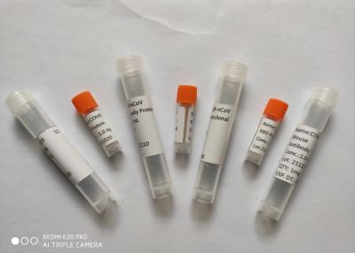 Cina Proteina della punta SARS-CoV-2/2019-NCoV S2 ECD dell'anticorpo monoclonale del topo recombinante in vendita