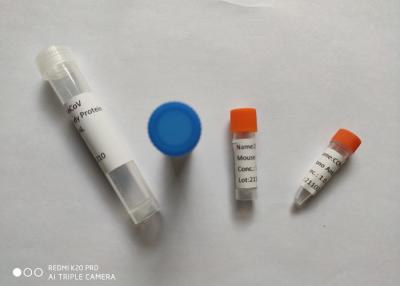 Cina Anticorpo monoclonale del topo recombinante (2019-NCoV) Spike Neutralizing Antibody, anticorpo monoclonale su ordinazione Mab del topo in vendita