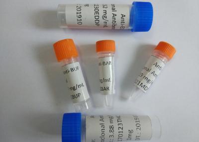China Anti-Ace Mouse Monoclonal Antibody Anti-Acetaminophen for sale