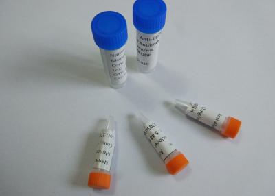 China Anti-CLO Muis Monoclonal Antilichaam anti-Clonazepam Te koop