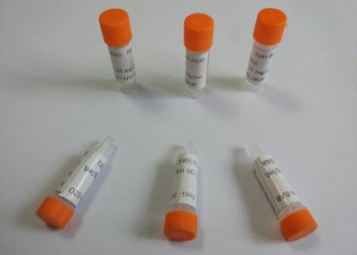 Cina Anticorpo monoclonale del topo anti--MCAT anti--Methcathinone in vendita