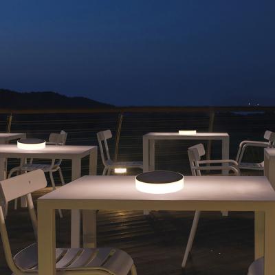 China 80LM Colorful Solar Ground Lights Outdoor1.5W Solar Floor Lamp With Mono Solar Panel for sale