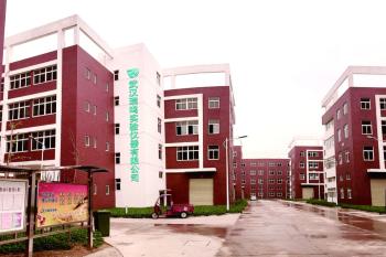 China Wuhan Ruiming Experimental Instrument