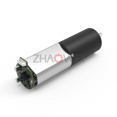 China Motor deslizante planetário 20mm 6V 12V da caixa de engrenagens BLDC para o secador de cabelo à venda