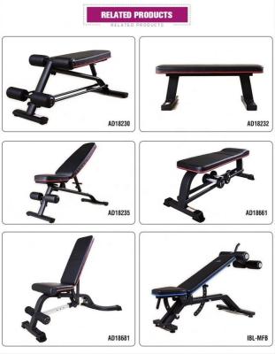 Chine Bench de sport pliable avec dimension réglable assemblée 1610*630*1310 mm à vendre