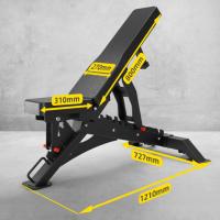 China Multi Function Adjustable Gym Bench Set Metal Construction for Home and Commercial for sale