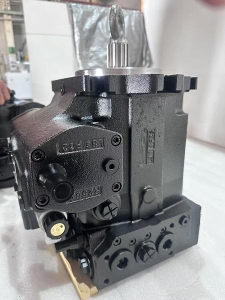 Quality Rexroth A4VG125 Hydraulic Charge Pump with Steel Iron and Copper Material for Excavators for sale