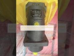 A2F 10/12/23/28 Axial Piston Fixed Displacement Pump For Industrial equipment