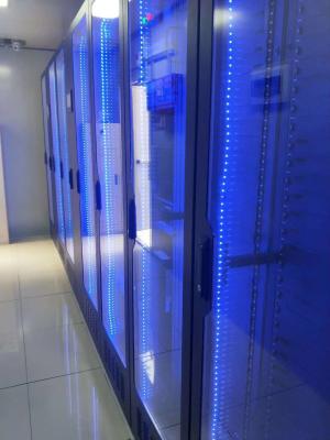 China Data Center transportado en contenedores integrado blanco o negro en venta