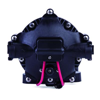Cina pompa idraulica del motore fuoribordo della membrana di CC di 5.0gpm 60psi 12v per Ski Boat in vendita