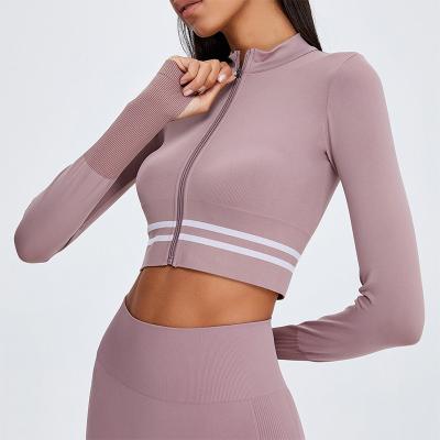 Cina Calcio completo dello zip del cotone che prepara l'insieme respirabile degli abiti sportivi delle donne di misura esile di Tracksuits in vendita