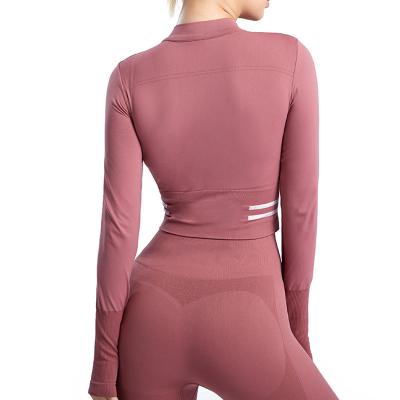 Cina Calcio completo dello zip del cotone che prepara l'insieme respirabile degli abiti sportivi delle donne di misura esile di Tracksuits in vendita