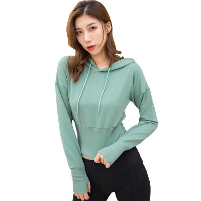 Cina Abiti sportivi lunghi della manica di allenamento del raccolto di yoga dell'OEM delle donne superiori di maglie con cappuccio in vendita