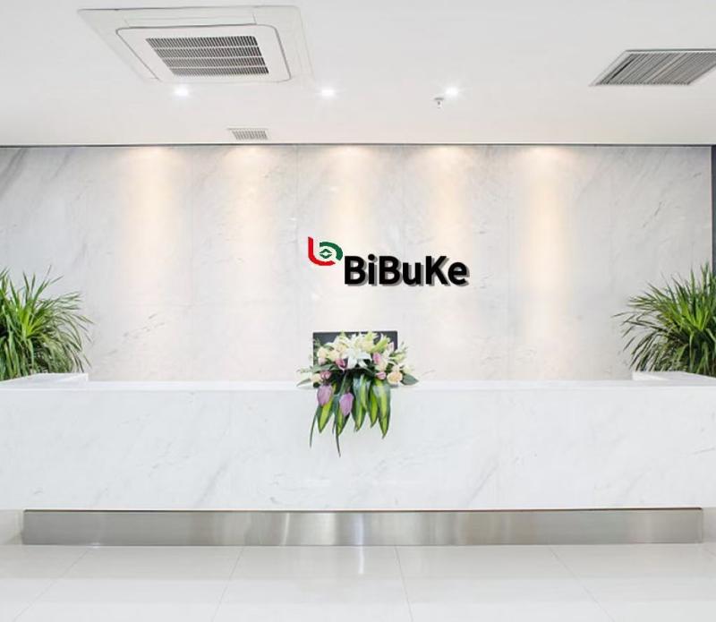 Fornitore cinese verificato - Dongguan Bibuke Electronic Technology Co., Ltd.