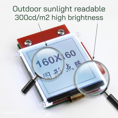 China Transflecitve Positive Monochrome LCD Display 300cd/M2 6 O'Clock for sale