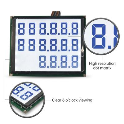 China 6 O'clock Monochrome LCD Display with 160x128 Dot Matrix and Extended Temperature Range for sale