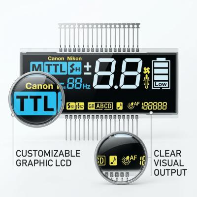 China BBI Monochrome LCD Display HTN Positive Polarizer 102.00mm*34.50mm with 12 O'Clock Viewing Direction and 3.0V Driving Voltage for sale