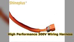 300V New Energy Automotive Wiring Harness High Performance