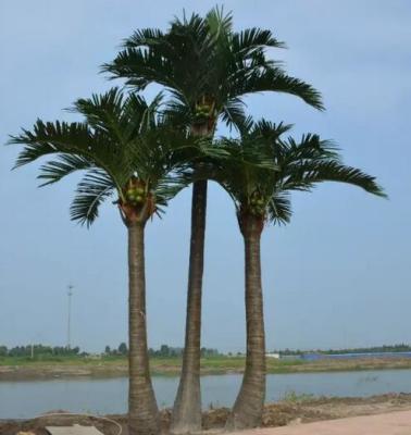 China wholesale artificial palm trees ,high imitation fiberglass bent coconut tree with fruit High quality for sale