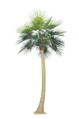 China china 2017 fake big artificial palm trees for outdoor or indoor decoration factory sales for sale
