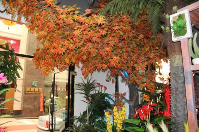 China 2017 china Hot selling Artificial maple Tree for indoor&outdoor decoration cheap price Fake maple Tree for sale