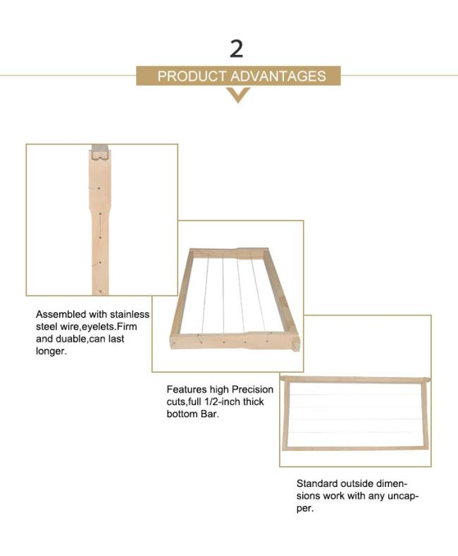 Dadant-Bienenstock Frame2.jpg