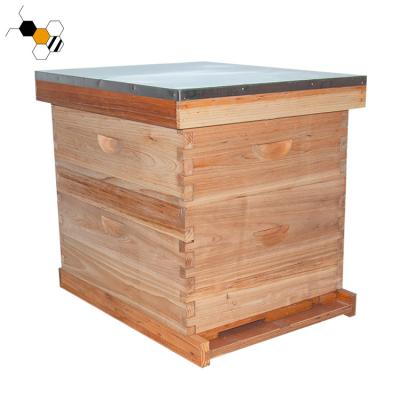 China Abeto 20m m de China colmena de la abeja de Langstroth de 8 marcos en venta
