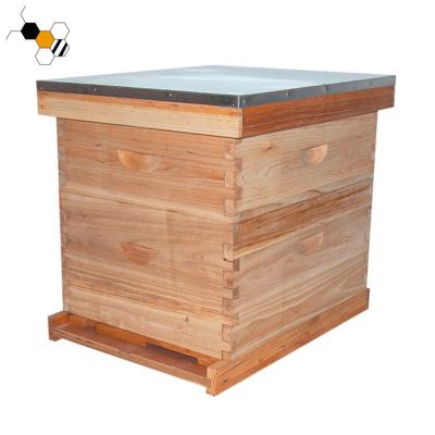 China Abeto 20m m de China colmena de la abeja de Langstroth de 8 marcos en venta